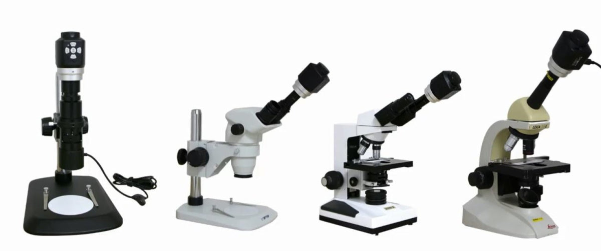 Microscope Cameras – Oasis Scientific