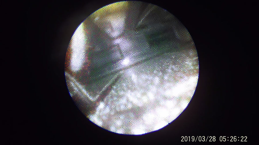 Ultra thin borescope less than 1mm diameter 0.78mm diameter flexible ...