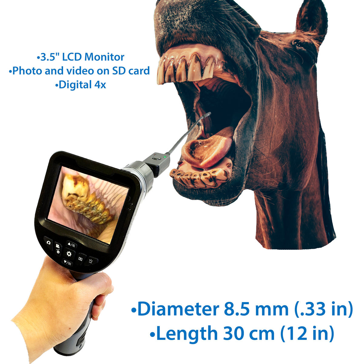 Horse equine dental camera semi-rigid dual-camera inspection camera ...