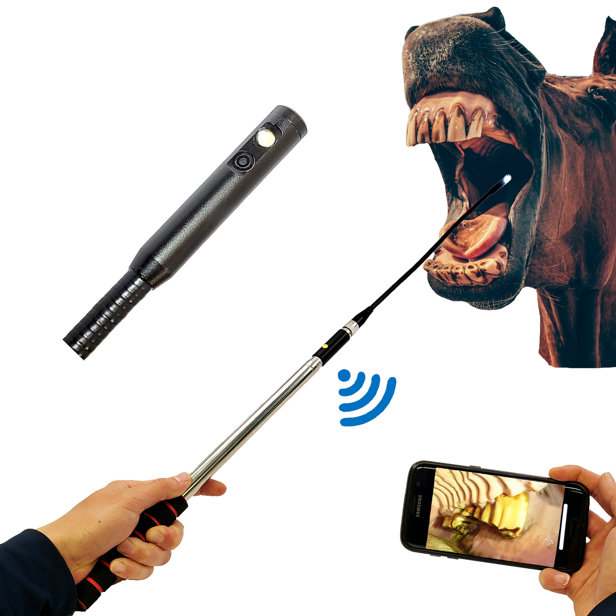Extendable rigid side-view WiFi wireless inspection camera for horse ...