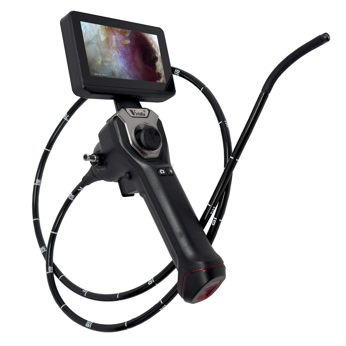 Joystick articulation veterinary endoscopes with work channel and ...